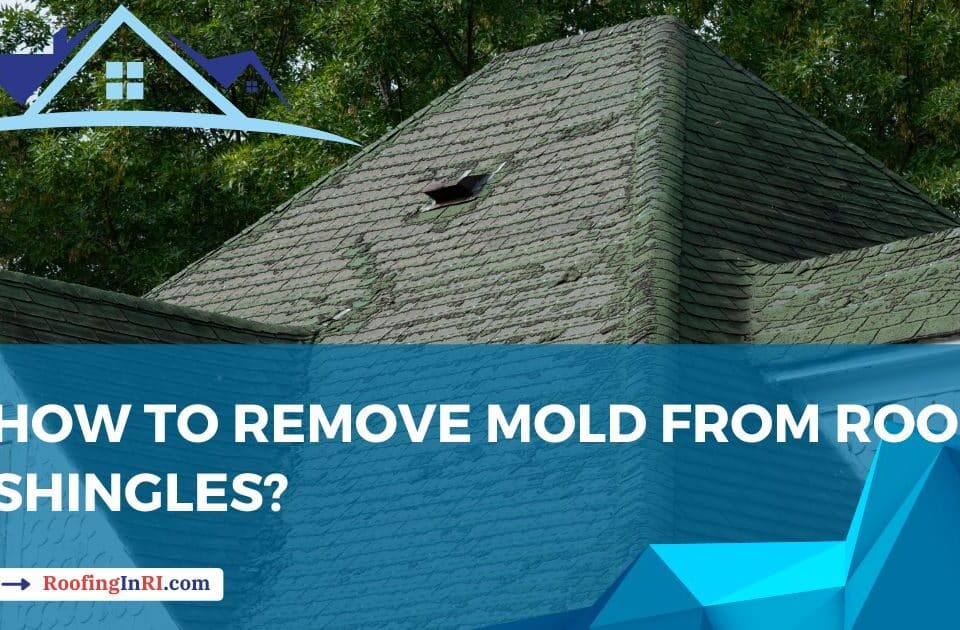 How to clean a shingle roof?